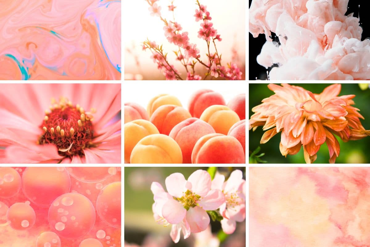 Peach Yarn Color Palette for Crochet & Knits - Crafting in the Night