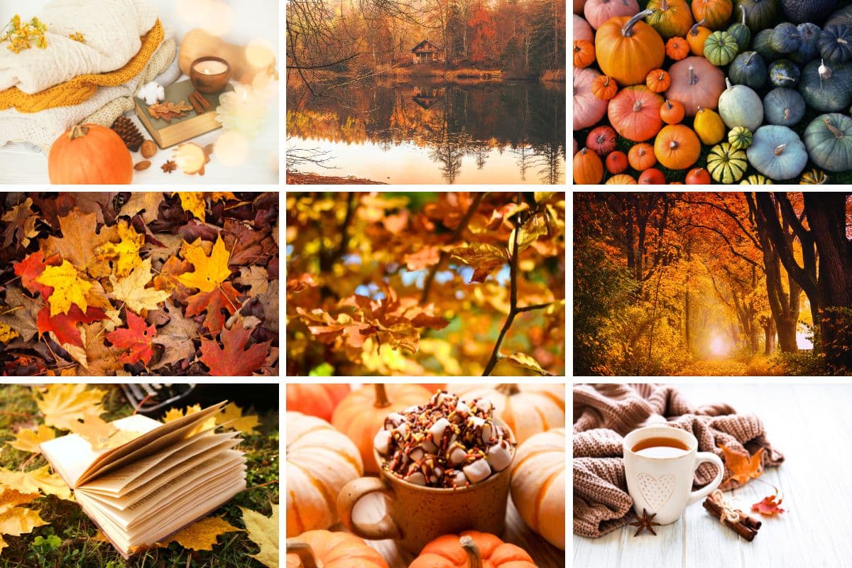 Fall Color Palette for Crochet & Knits - Crafting in the Night