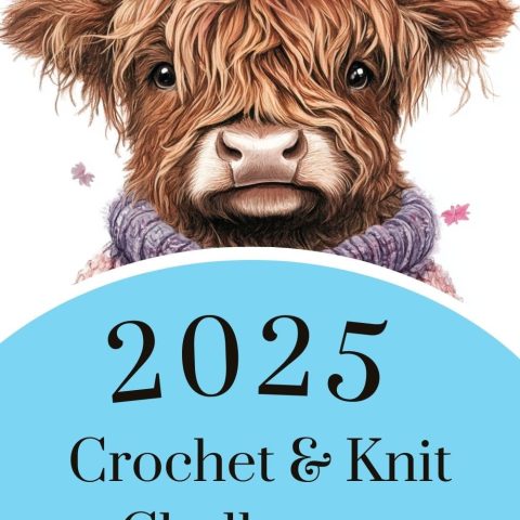 2025 Crochet & Knitting Challenges - Crafting in the Night