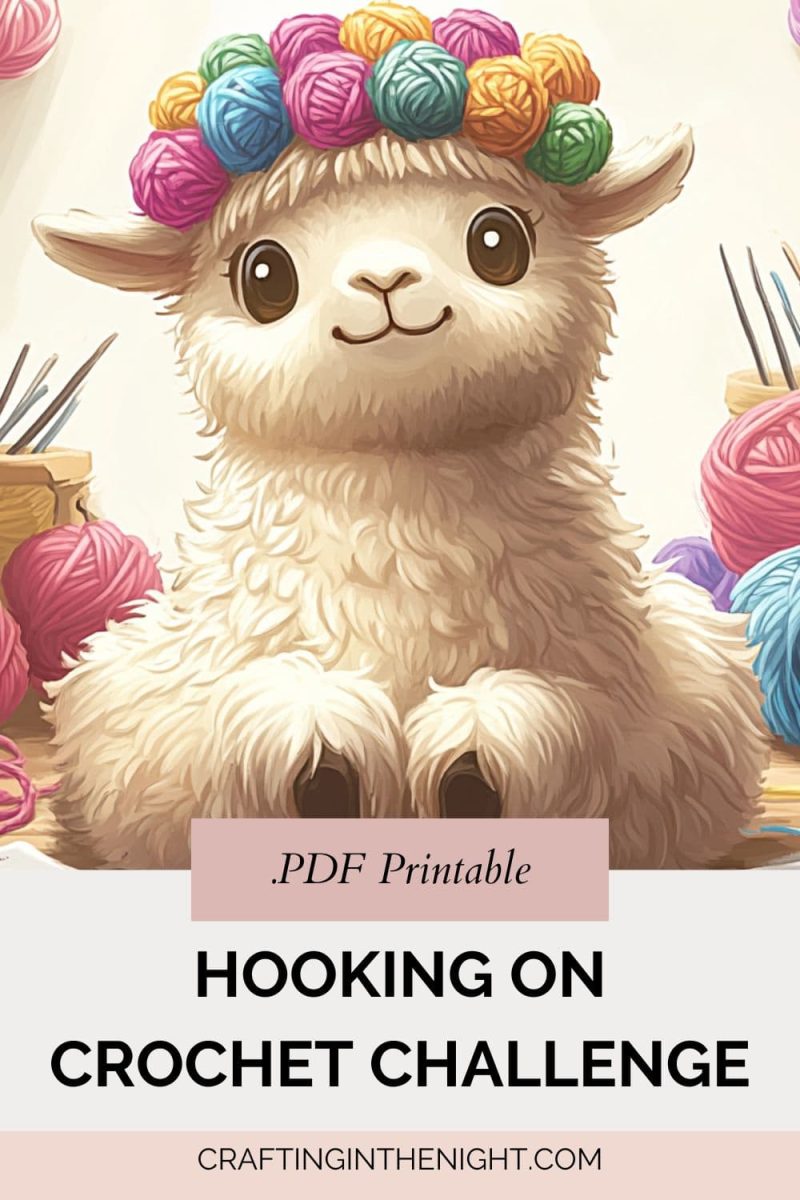 Hooking On - Crochet Challenge - Crafting in the Night
